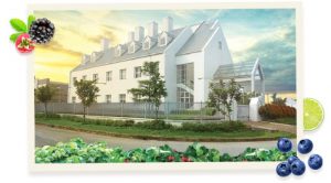 Contact Us - Mama Roz Cold Press Juice